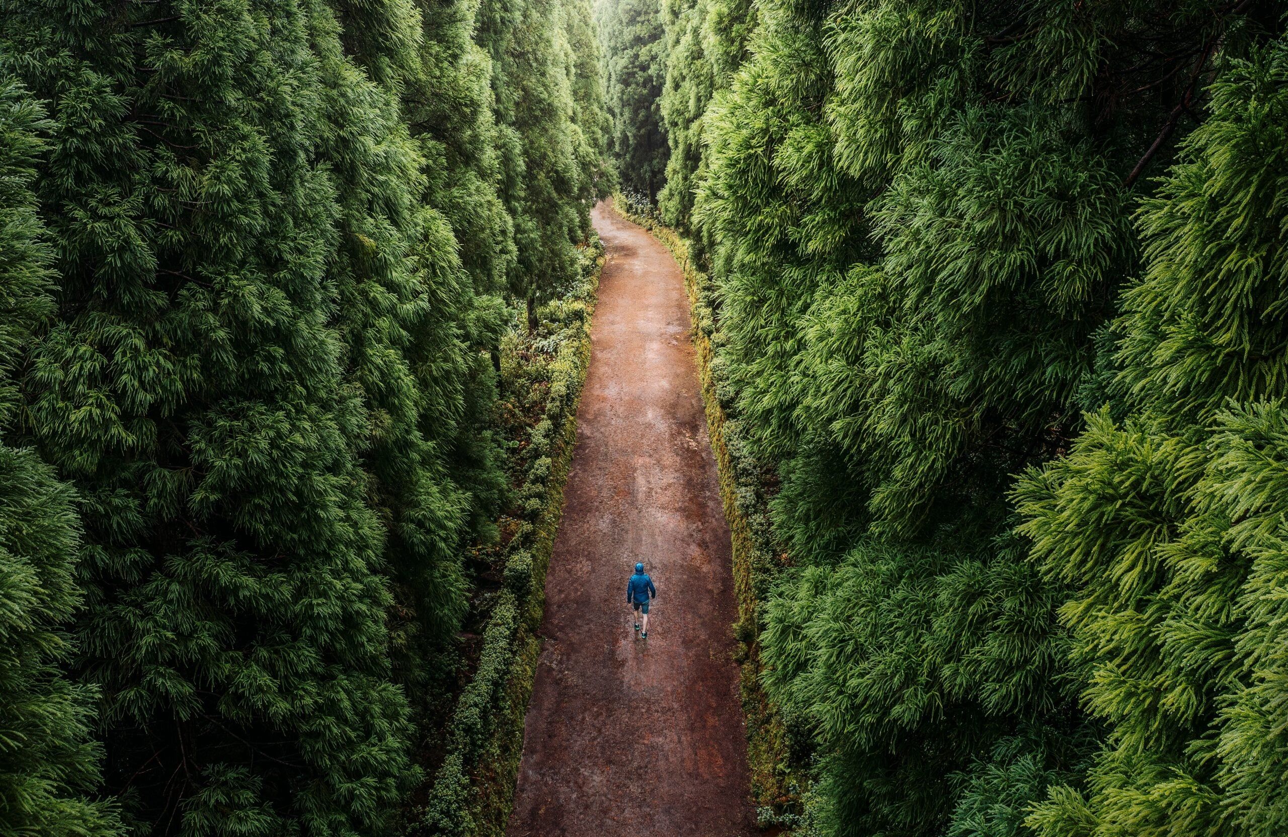 Researchers studying loneliness discovered these 10 patterns that ...