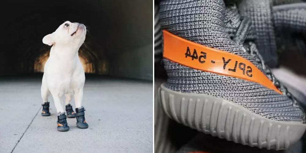 You Can Get Yeezy-Inspired Sneakers For Your Dog