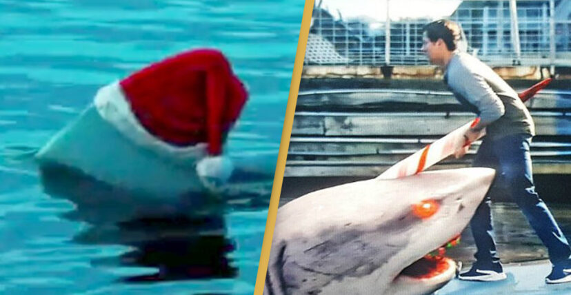 'Santa Jaws,' The Movie About A Murderous Shark In A Santa Hat, Is Now ...