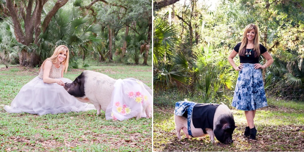 Florida Woman Launches Pig Clothing Company After Her Pig Outgrows Dog ...