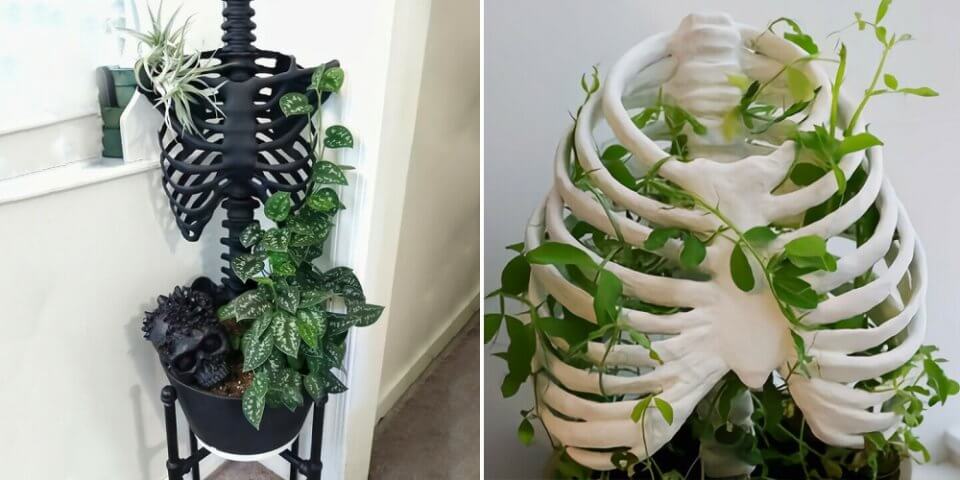 This Goth Skeleton Planter Gives Your Climbing Plants Somewhere Spooky ...