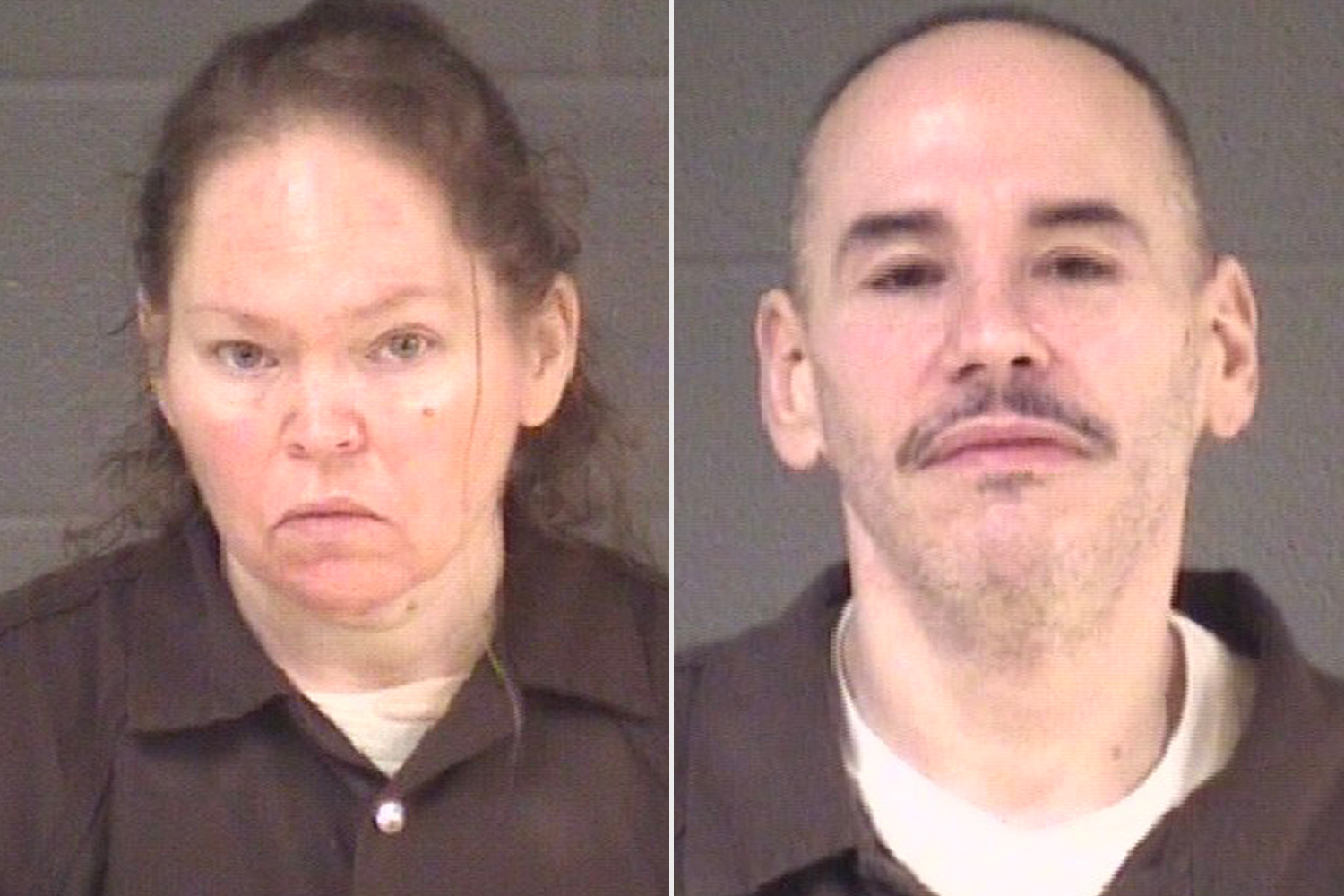 Pet Duck Leads Police To Missing Woman's Body And Elusive Evidence