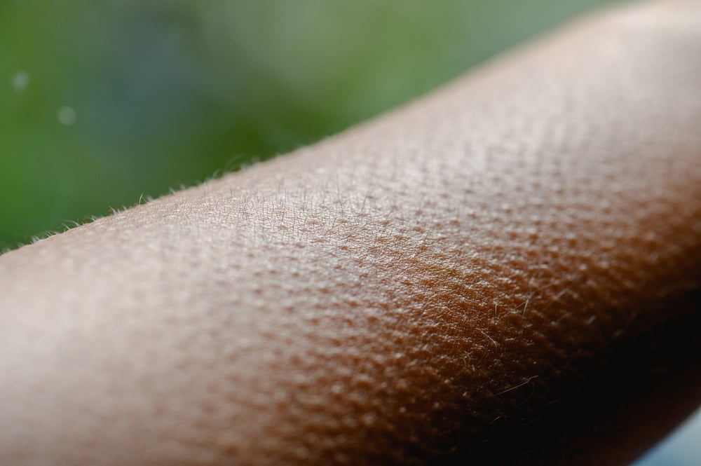 12 Body Parts We Don't Actually Need