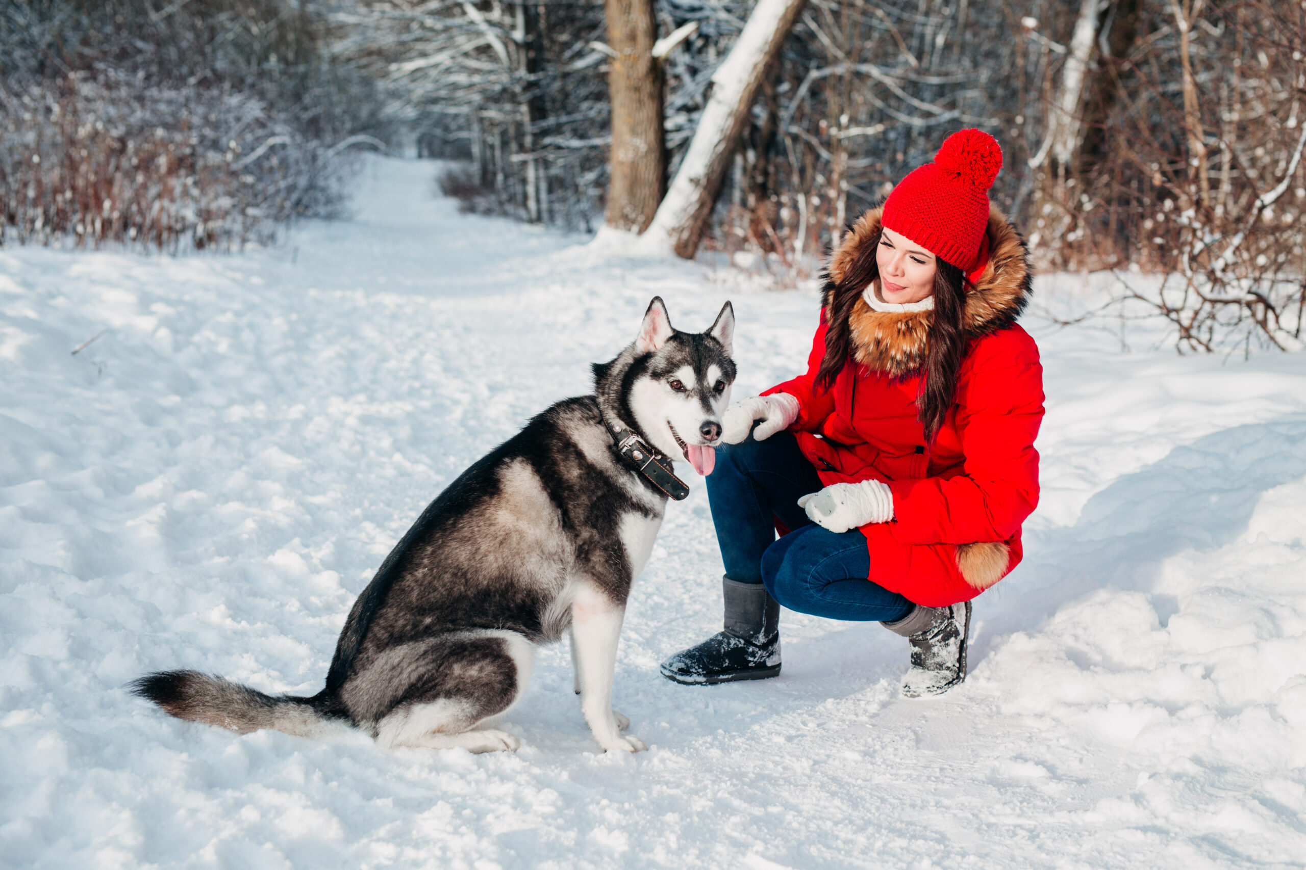 Psychology Says People Who Treat Pets As Companions Rather Than ...