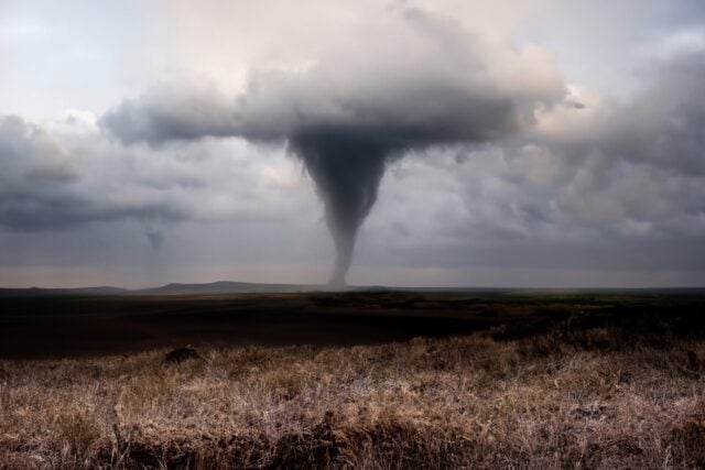 14 Topics That Prompted the Most Rage-Bait Online This Past Year